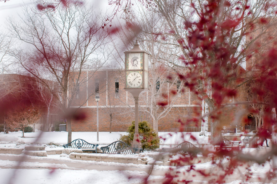 Title IX Legal Definitions & Rights | Winona State University