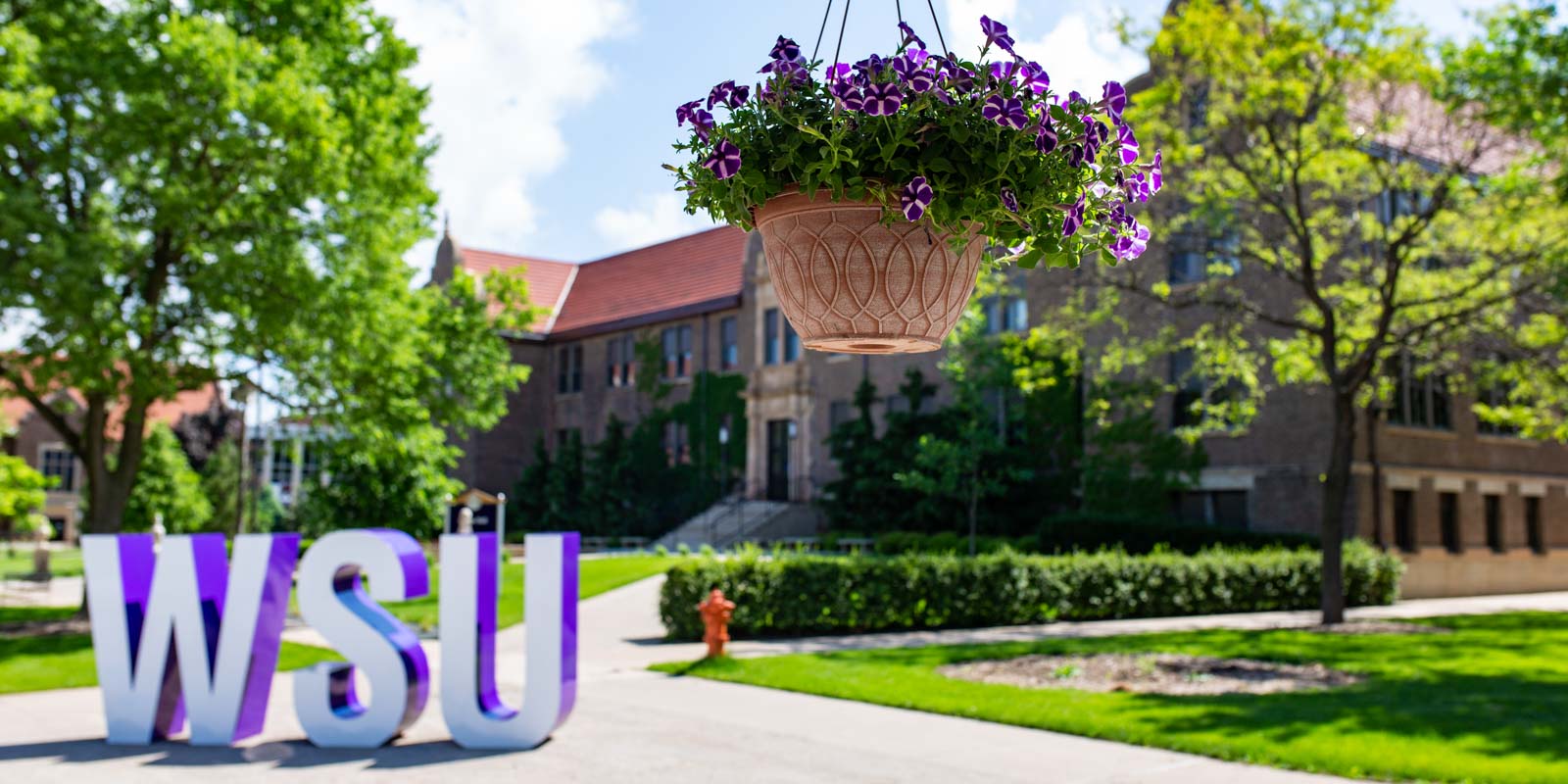 For the Love Event Registration | Winona State University